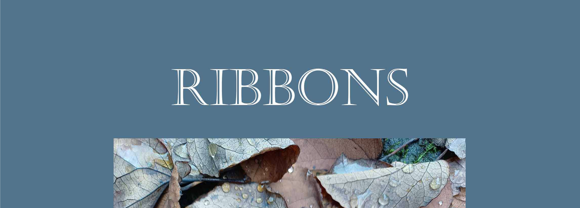 Poem in Ribbons – Andrew Lansdown